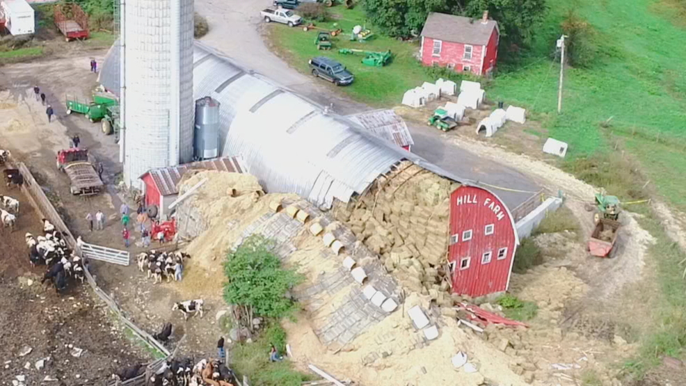 Cow killed in silo collapse, several others trapped | WJAR