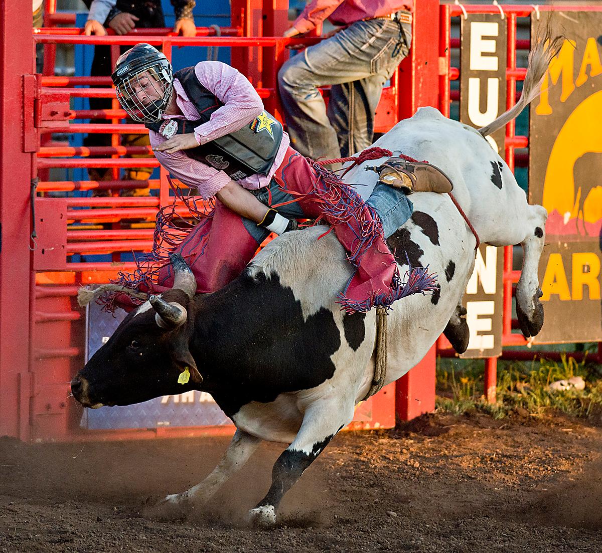 Eugene Pro Rodeo Photos | KVAL
