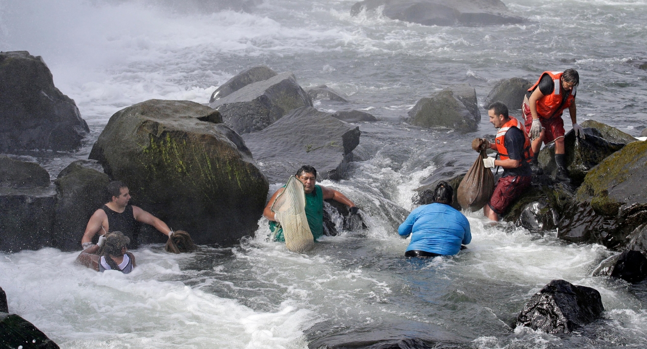 Photos: Tribes harvest lamprey at Oregon's Willamette Falls | KVAL