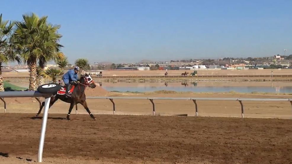 Horse racing begins at Sunland Park Racetrack & Casino | KDBC