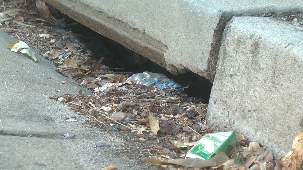 Storm water runoff system highlights large amount of trash on streets ...