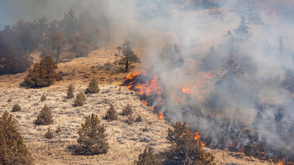 Fire Officials Investigate January Brush Fire | KTVL